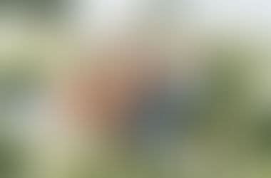 Setting Limits Part I