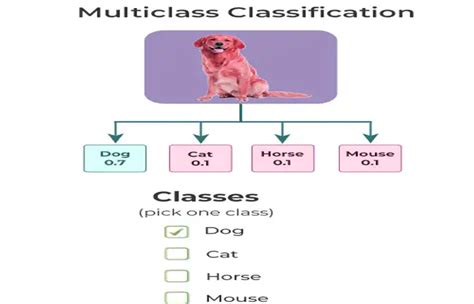Data Classification Accelerating Your Ai Potential