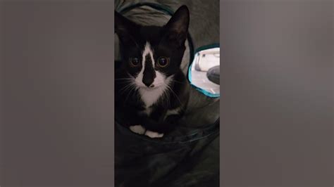 터널밖은 위험해 딱지네 겨울이 Youtube