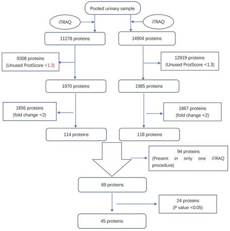 Flow Chart Of Protein Identification Download Scientific Diagram