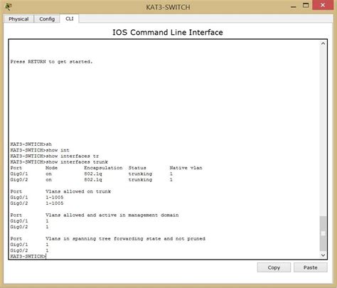 Vlan Trunk Port Nedir Nasıl Yapılandırılır