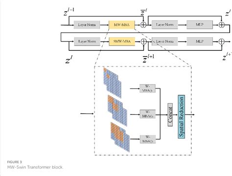 Figure 3 From A Wheat Spike Detection Method Based On Transformer Semantic Scholar