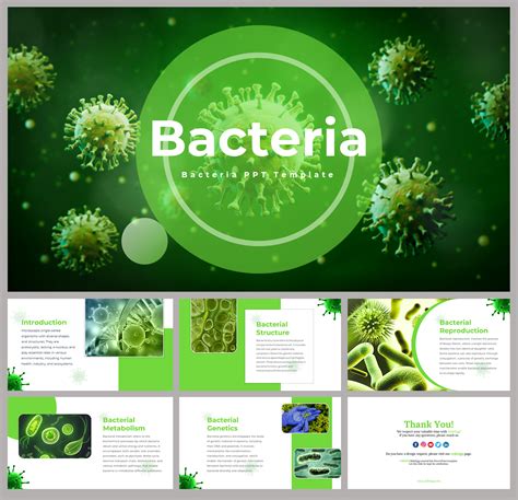 Powerpoint Bacteria Templates Backgrounds For Powerpoint Plant Free