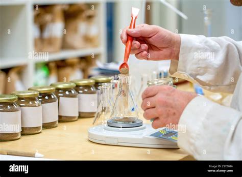 Detailed Laboratory Analysis Assessing Substrate Quality Using Sand