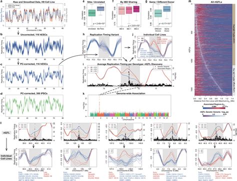 The Human Genomes Replication Timing Program Is Extensively Encoded In Download Scientific
