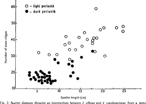 Figure 2 From The Interspecific Relationships Of Juncus Effusus And J
