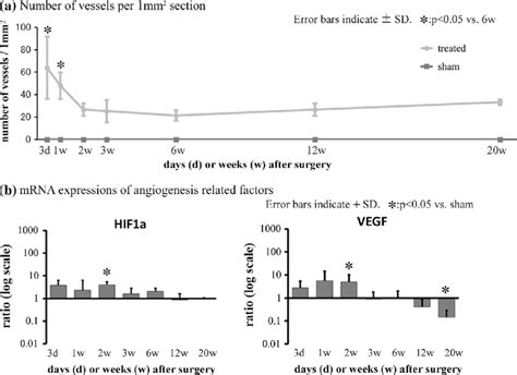 Angiogenesis Related Factors A The Number Of Vessels Within A 1 Mm 2