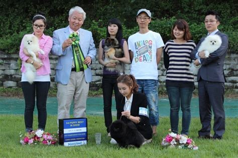 Kkf 챔피언쉽 도그쇼안성 풍산개 테마공원 3rd Puppy Best In Show Best Of Opposite Sex