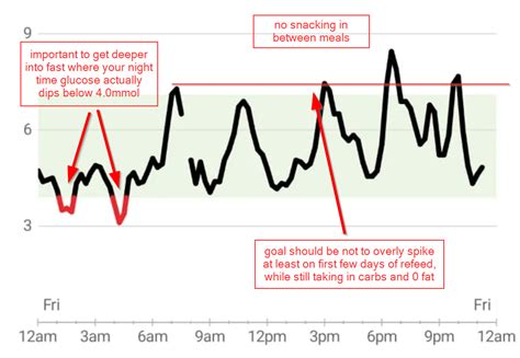 Improve Your Dry Fasting Refeed With A Cgm Continuous Glucose Monitor And A Note About Hrv