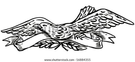 American Bald Eagle Scroll Olive Leaves Stock Vector Royalty Free 16884355 Shutterstock