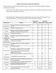 Understanding Cell Structure And Function A Comprehensive Guide Course Hero