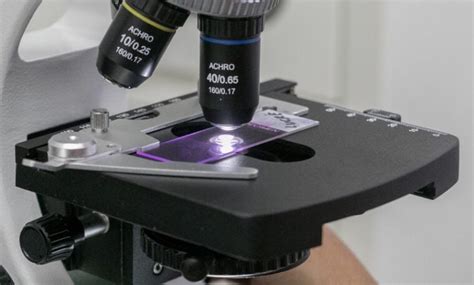 11 Parts Of A Compound Microscope With Pictures Optics Mag