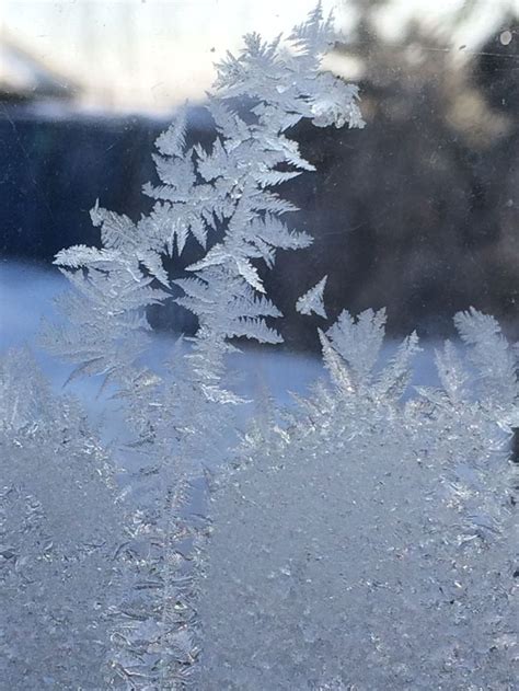 Пин от пользователя Ольга Дорофеева на доске Зима Зима