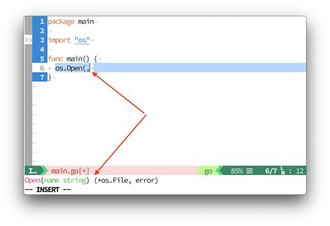 Signature Help Not Showing Arguments · Issue 1035 · Neoclidecocnvim · Github