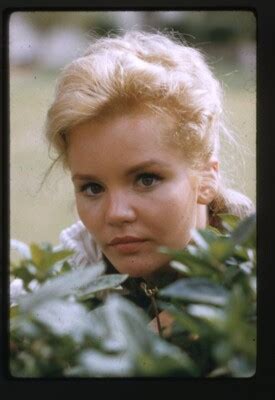 Tuesday Weld 1960s Breathtaking Glamour Photo Shoot Original 35mm