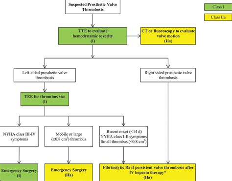 Chest Guidelines On Anticoagulation At Regina Bruce Blog