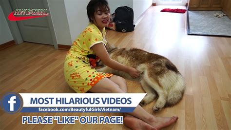 شاهد مقطع ساخن لامراة مع كلب Youtube