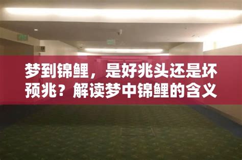 梦到锦鲤是好兆头还是坏预兆解读梦中锦鲤的含义 命理解梦