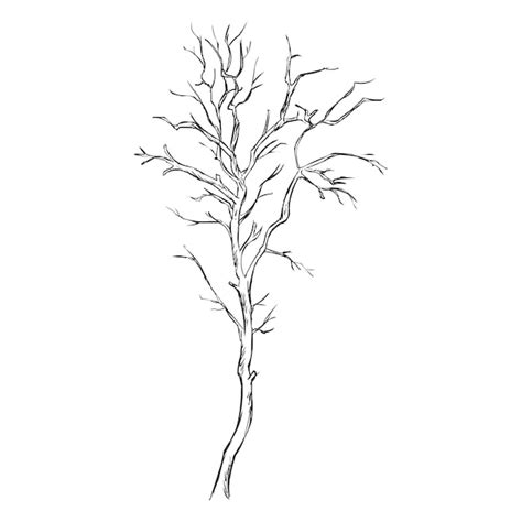 Premium Vector Vector Single Sketch Bare Tree