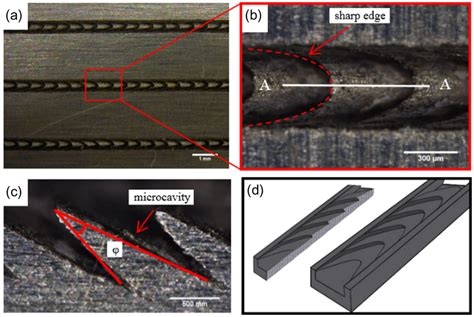 Characterization Of The Biomimetic Structure A Microscope Image Of Download Scientific