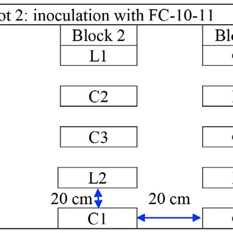 Schematization Of Field Experimental Trial Example Of The Design For Download Scientific