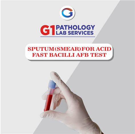 Sputum Afb G1 Pathology Lab