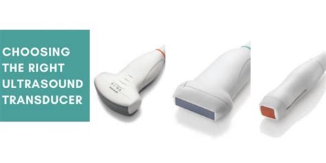 Curvilinear Probe Ultrasound