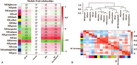 A Pearson Correlation Coefficient Matrix Among Module Eigengenes