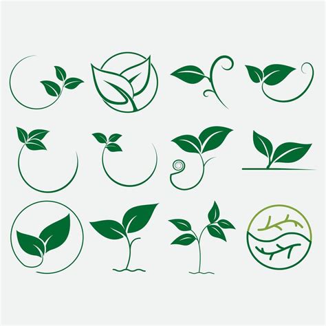 Collection Of Leaf Logos 41167441 Vector Art At Vecteezy