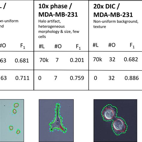 segmentation evaluation of self supervised machine learning ssl and