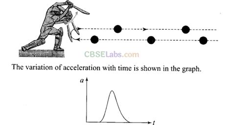 NCERT Exemplar Class Physics Chapter Motion In A Straight Line Ncertlibrary