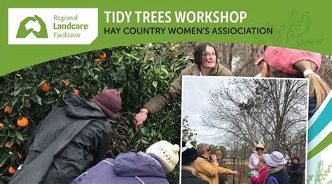Pop Up Grant Report Tidy Trees Workshop Murrumbidgee Landcare Inc