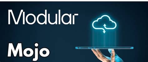 Will Mojo🔥 Replace Python 🤔 Dev Community