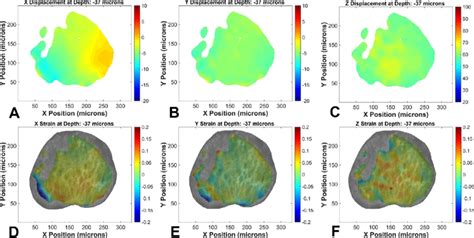 Digital Volume Correlation Calculated Displacements And Strains Of One Download Scientific