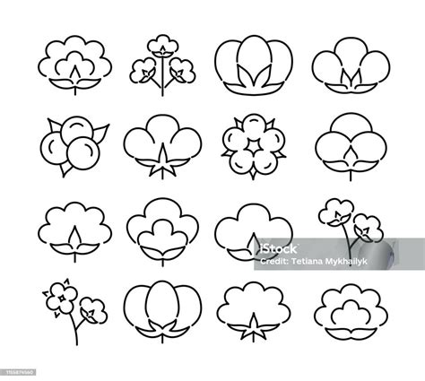 코 튼 플라워를 볼 선 아이콘을 설정 합니다 자연 에코 유기농 섬유 직물에 대 한 기호 Gt 로고 검정 백색 벡터 일러스트 면에 대한 스톡 벡터 아트 및 기타 이미지