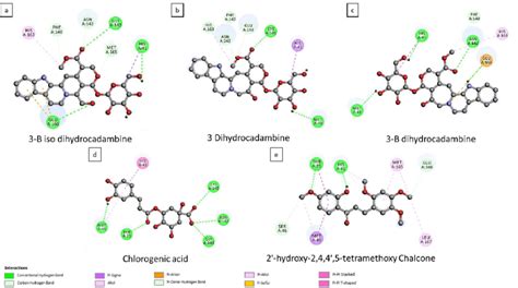 2d Binding Interactions Of A 3 B Isodihydrocadambine B Download