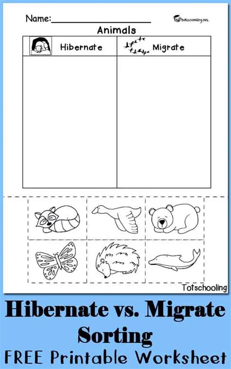 Hibernation Vs Migration Animal Sorting Worksheet