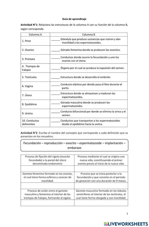 Sistemas Reprod Free Interactive Worksheets 1330873