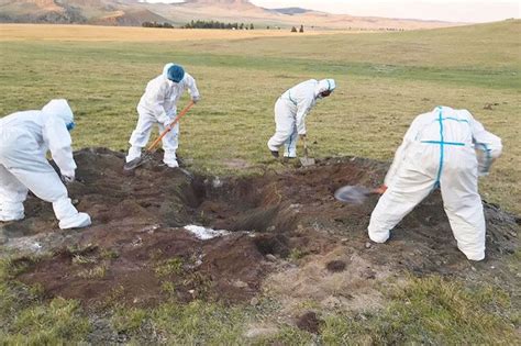 Увс аймагт хүний боом өвчин бүртгэгдлээ