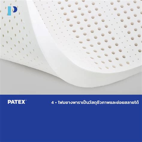 โฟมยางพาราธรรมชาติ วัสดุรักษ์โลก ลดคาร์บอน พร้อมย่อยสลายได้ 100 Patex