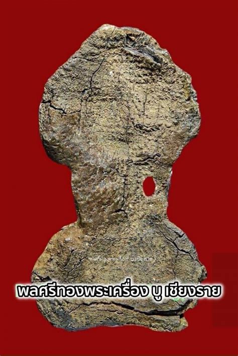 พระนาคปรก กรุพระงั่ว เนื้อชินเงิน พระกรุระดับตำนาน พลศรีทองพระเครื่อง บู เชียงราย