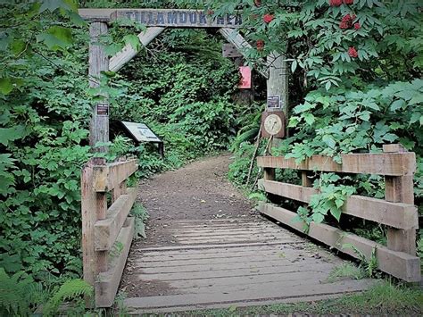 Tillamook Head Trail Hike Seaside Oregon Northwest Sisu