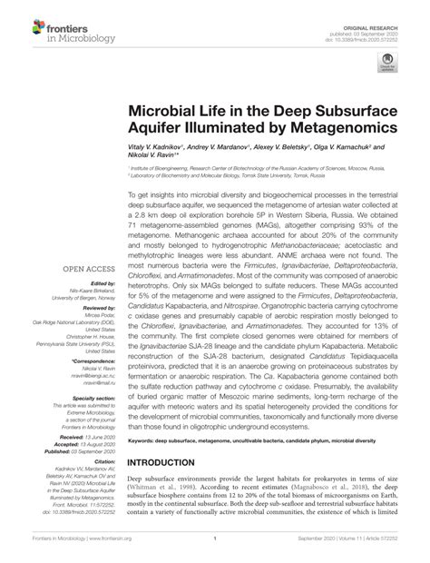 Pdf Microbial Life In The Deep Subsurface Aquifer Illuminated By