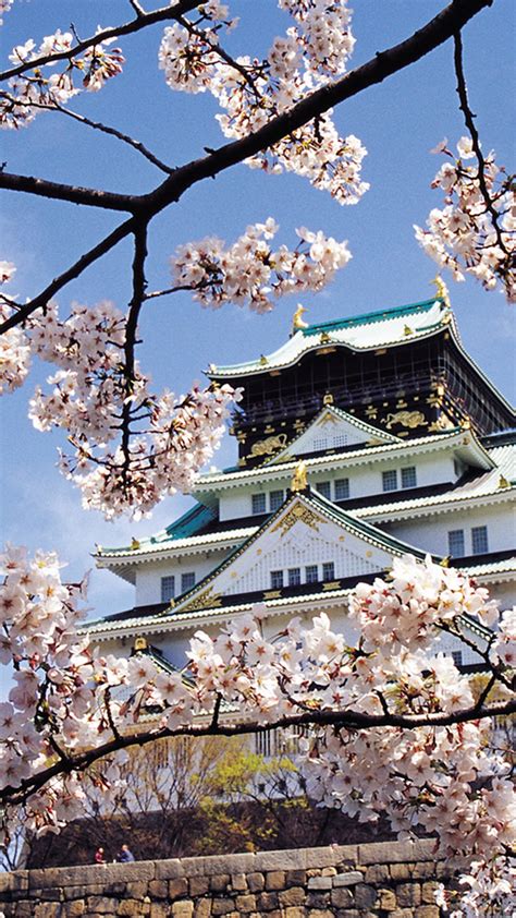 日本丨专注云南半自由行