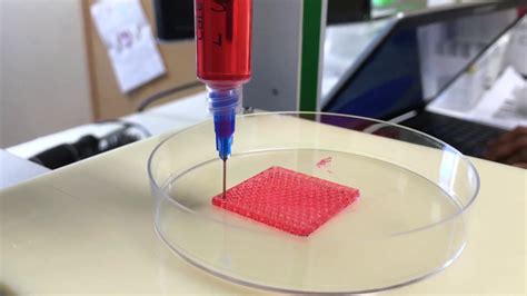 Bioprinting Applications Lab Automation YouTube