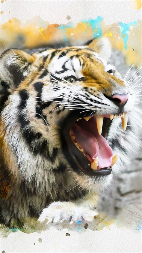 Katy Perry Tiger Roar Wallpaper