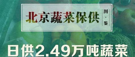 日供2 49万吨蔬菜北京怎么做到的推荐 罗东骏 任婉晴 任娇