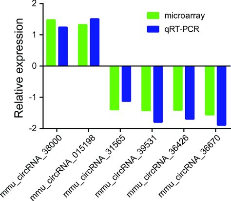 Validation Results For The Selected Circrnas Assessed By Qrt Pcr Download Scientific Diagram
