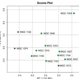 Principal Component Analysis PCA Score Plot Of The 12 Different Download Scientific Diagram