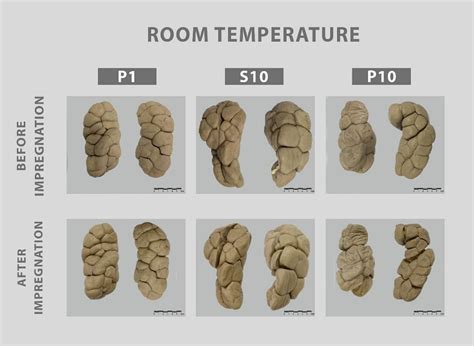 Influence Of Silicone Viscosity On Shrinkage During Room And Cold Temperature Impregnation The